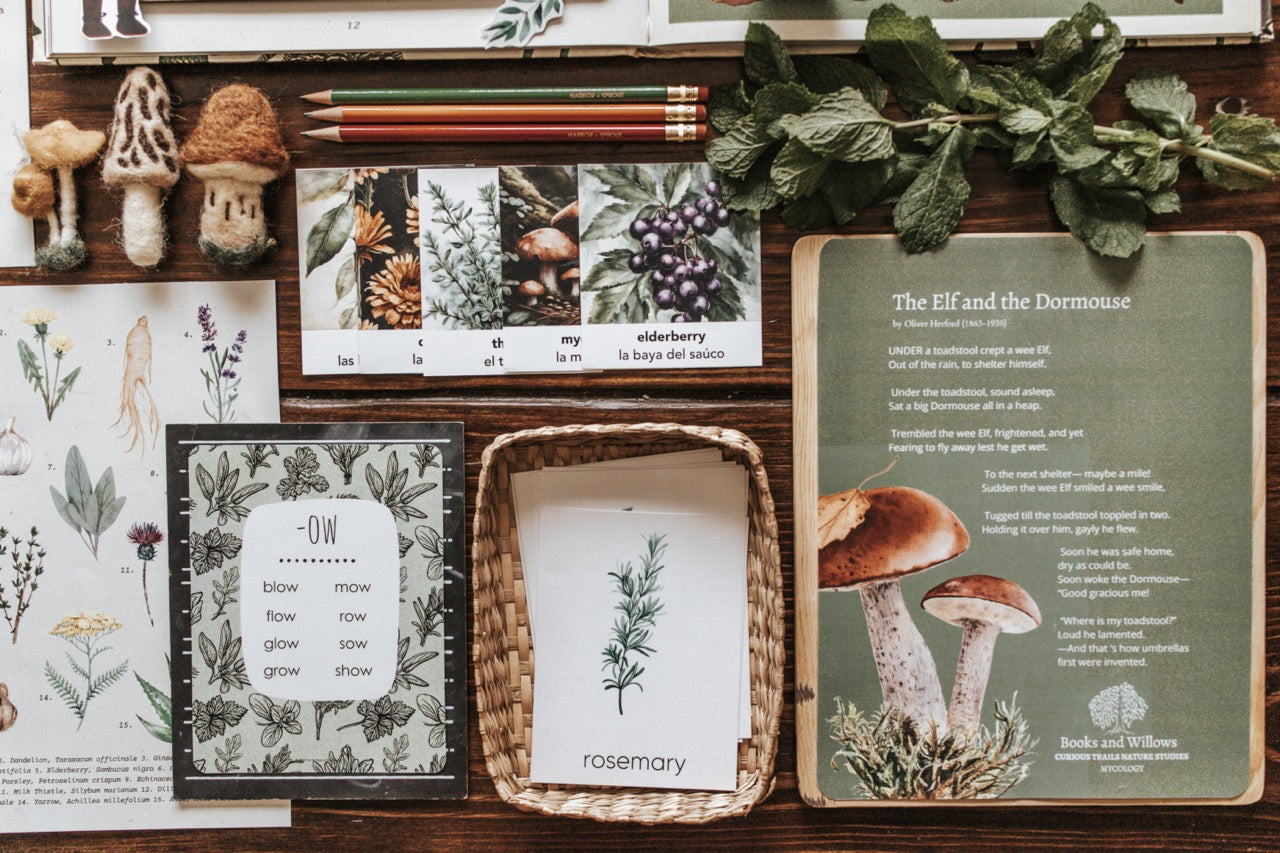 Mycology & Herbology Patchwork Study – Harbor and Sprout