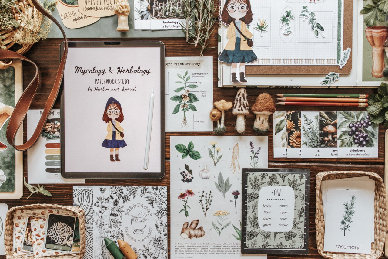 Mycology & Herbology Patchwork Study – Harbor and Sprout
