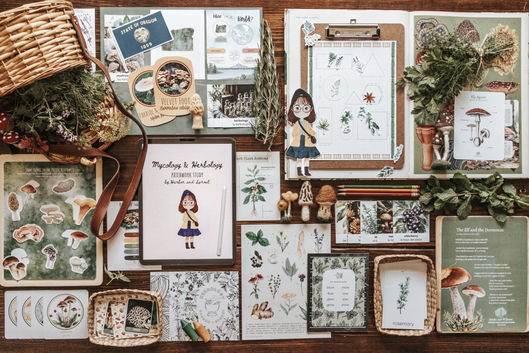Mycology & Herbology Patchwork Study – Harbor and Sprout