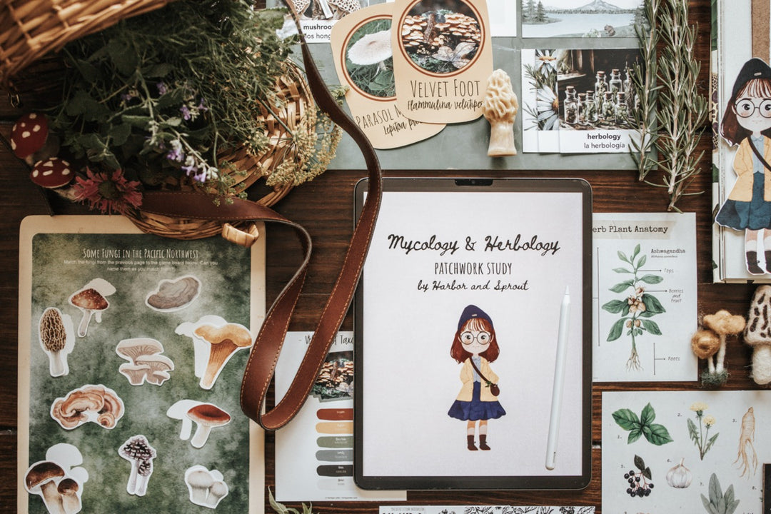 Mycology & Herbology Patchwork Study – Harbor and Sprout