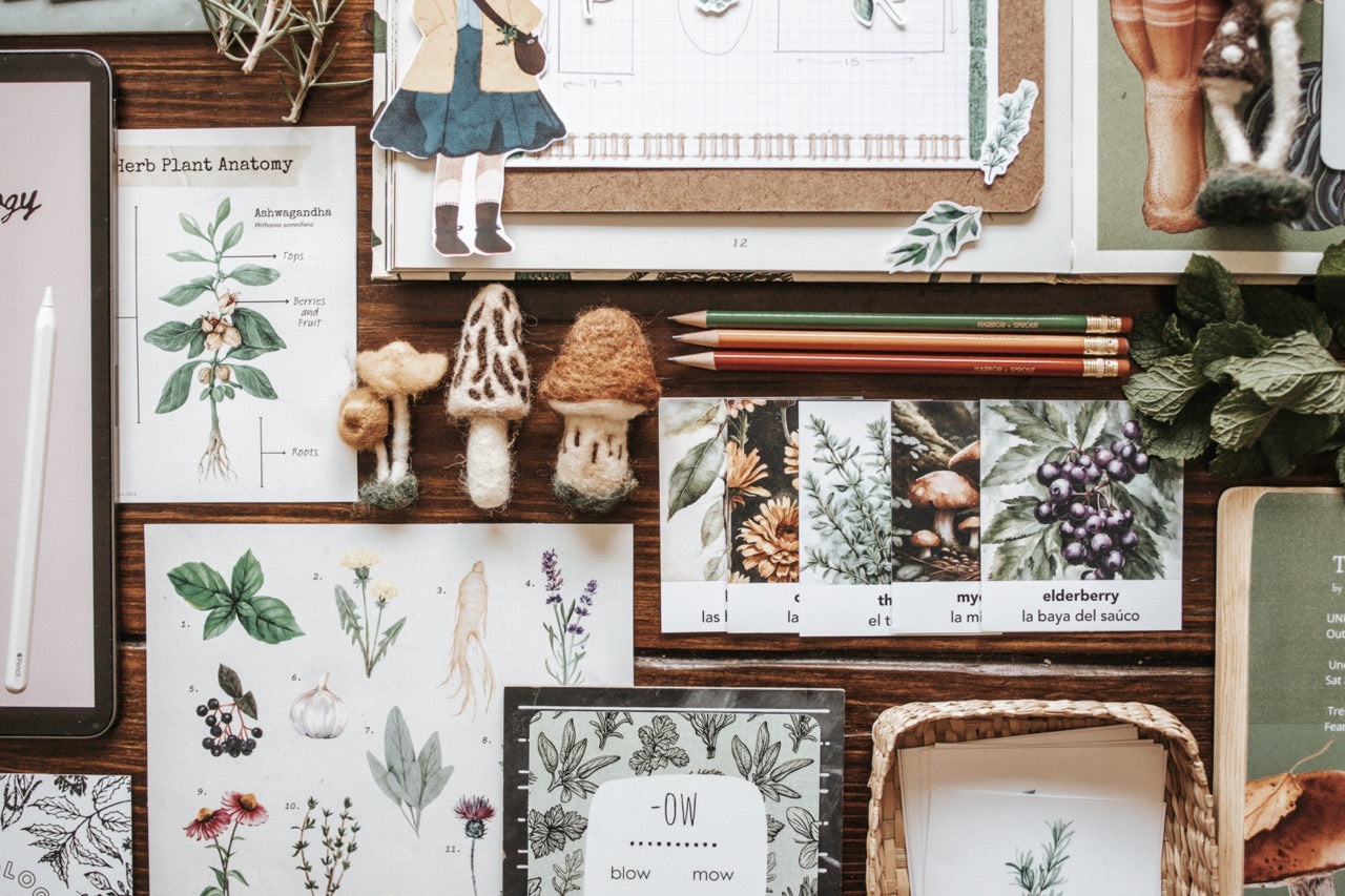 Mycology & Herbology Patchwork Study – Harbor and Sprout