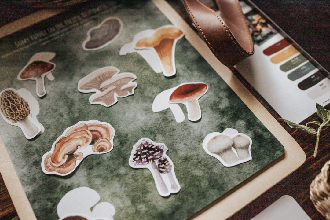 Mycology & Herbology Patchwork Study – Harbor and Sprout