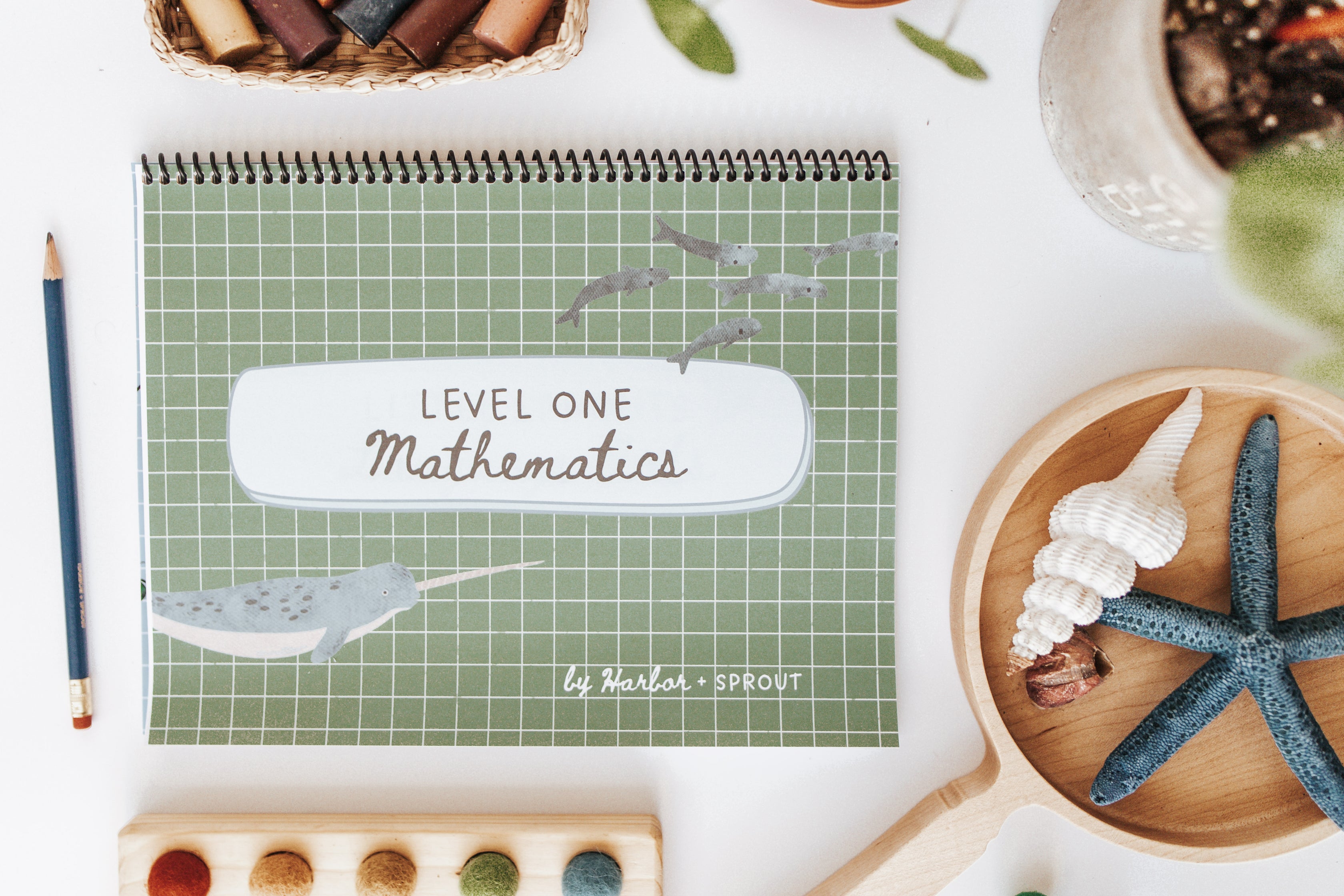 Mathematics Curriculum Samples – Harbor and Sprout