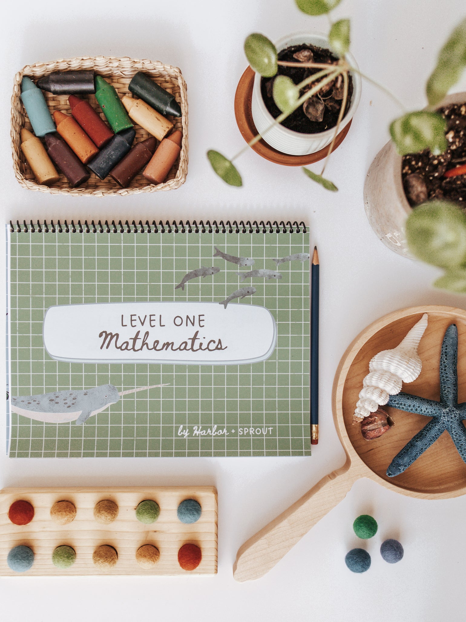 Mathematics Curriculum Samples – Harbor and Sprout