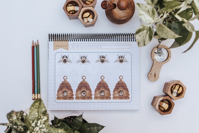 PRINT Little Sprouts PreK Language Arts – Harbor and Sprout