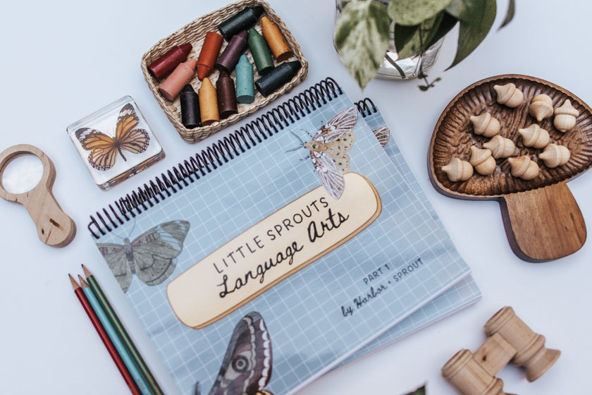 Little Sprouts – Harbor and Sprout