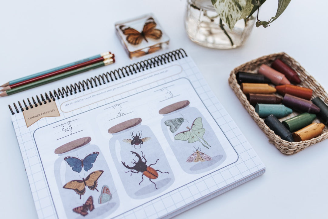 DIGITAL Little Sprouts PreK Mathematics – Harbor and Sprout