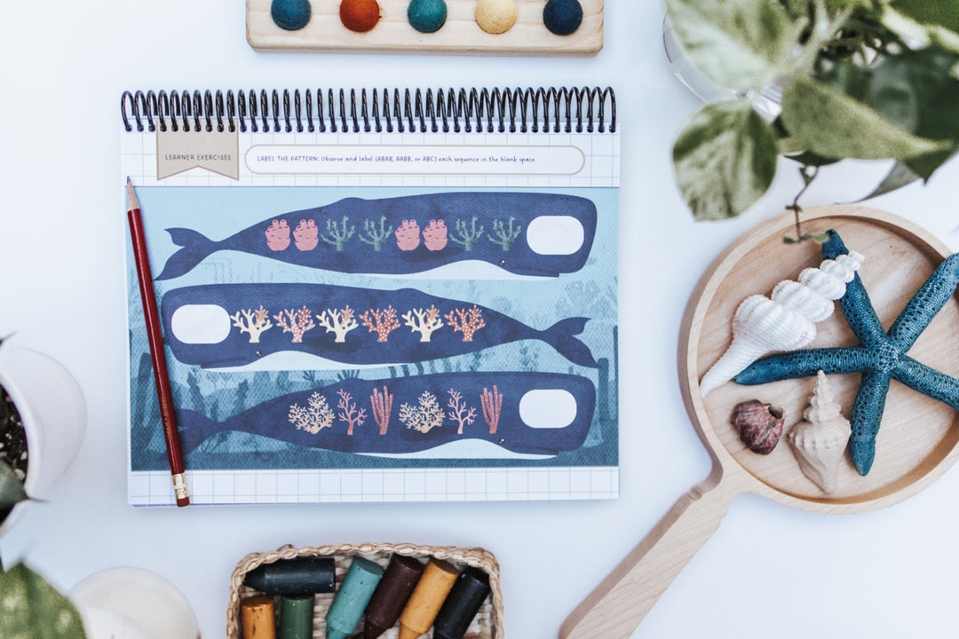 PRINT Little Sprouts PreK Mathematics – Harbor and Sprout