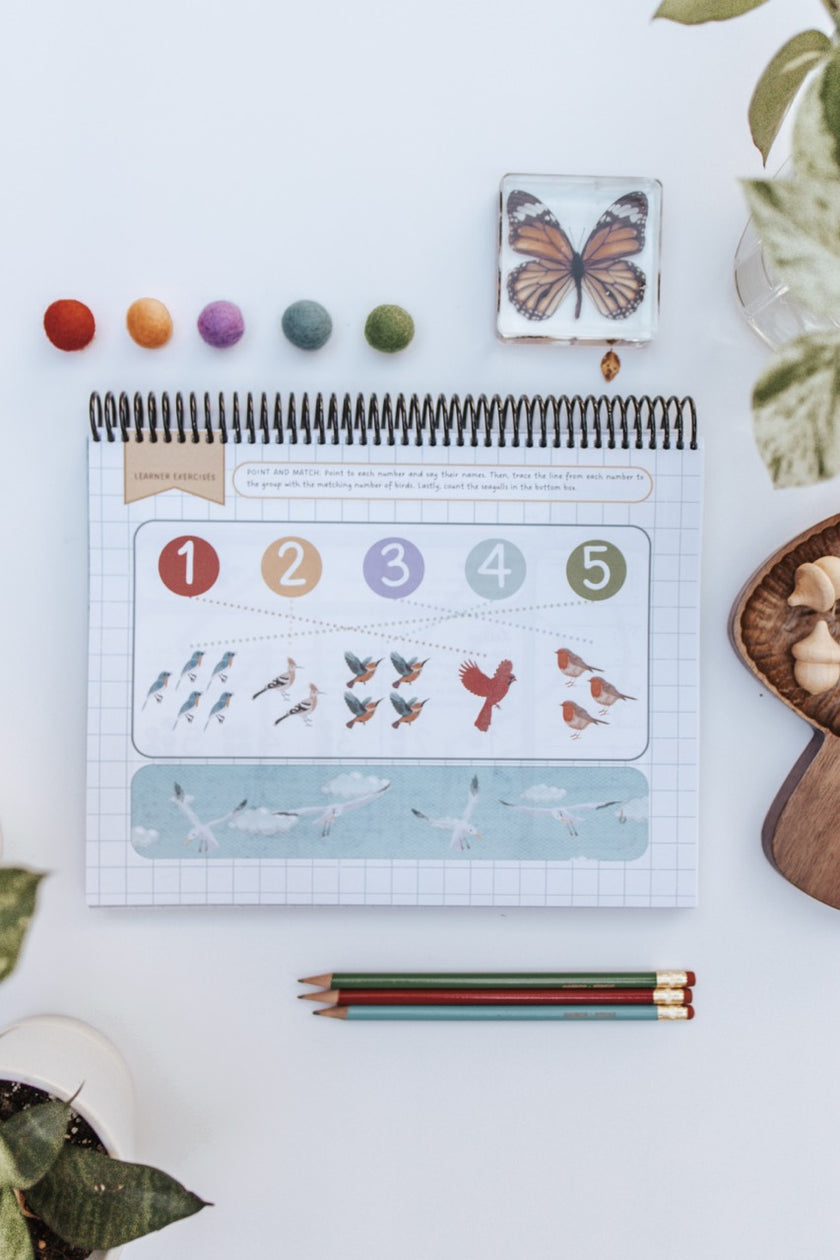 PRINT Little Sprouts (PreK) Mathematics – Harbor and Sprout