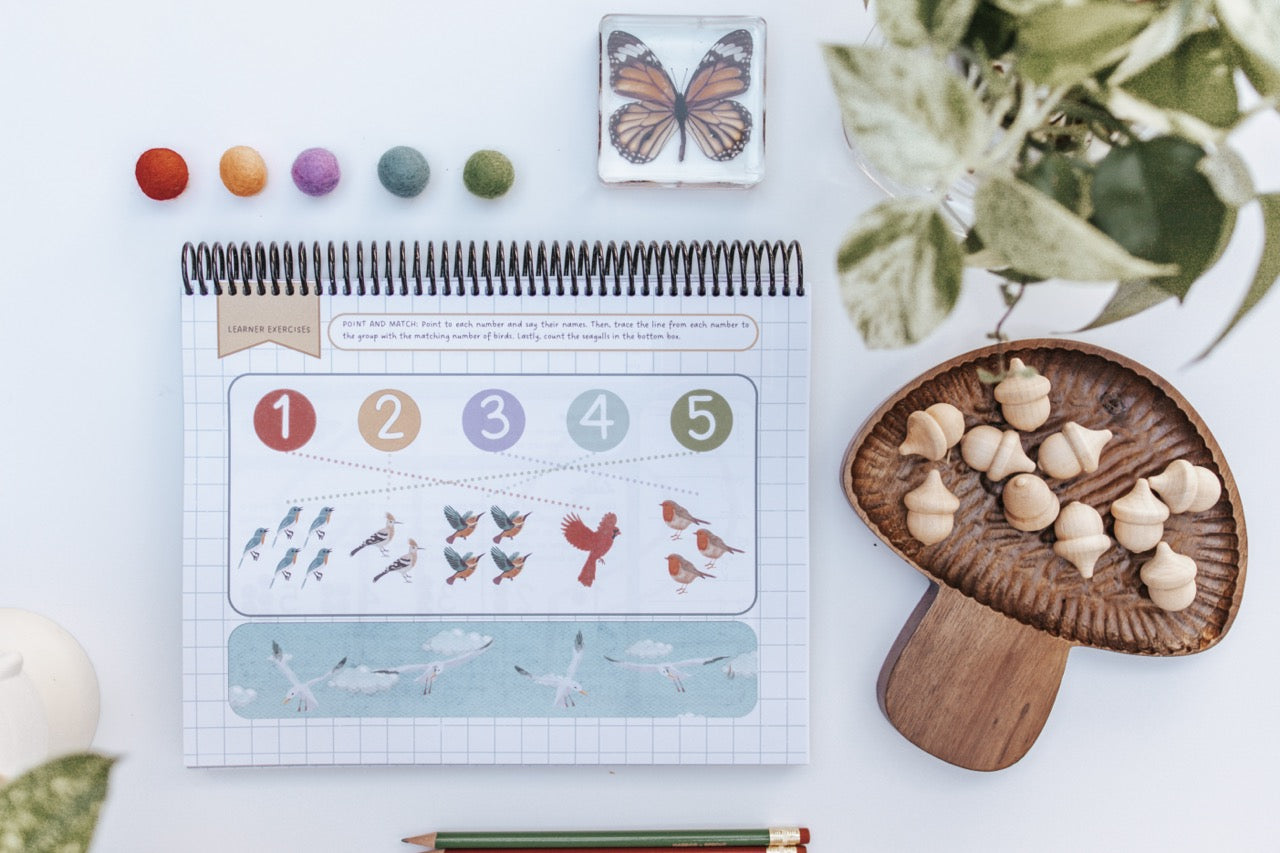 PRINT Little Sprouts PreK Mathematics – Harbor and Sprout