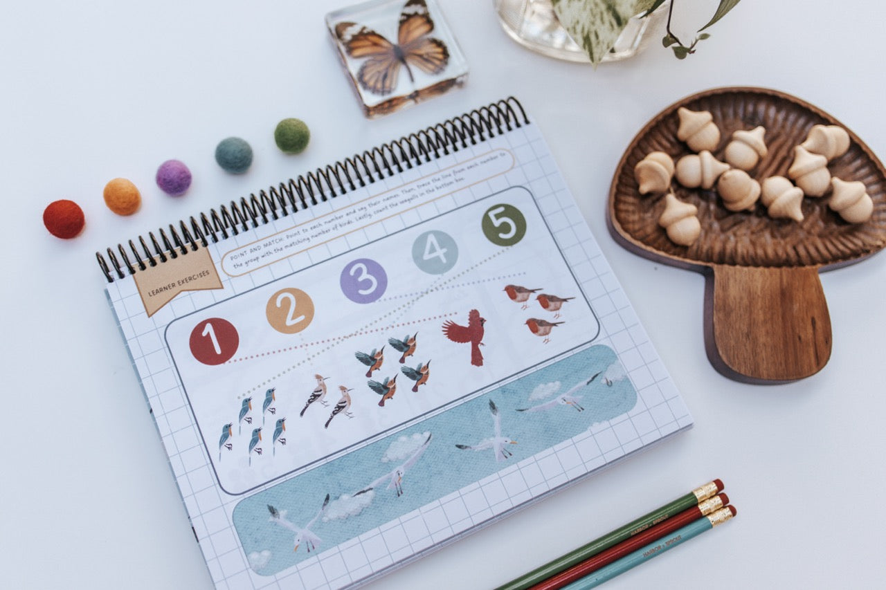 PRINT Little Sprouts (PreK) Mathematics – Harbor and Sprout