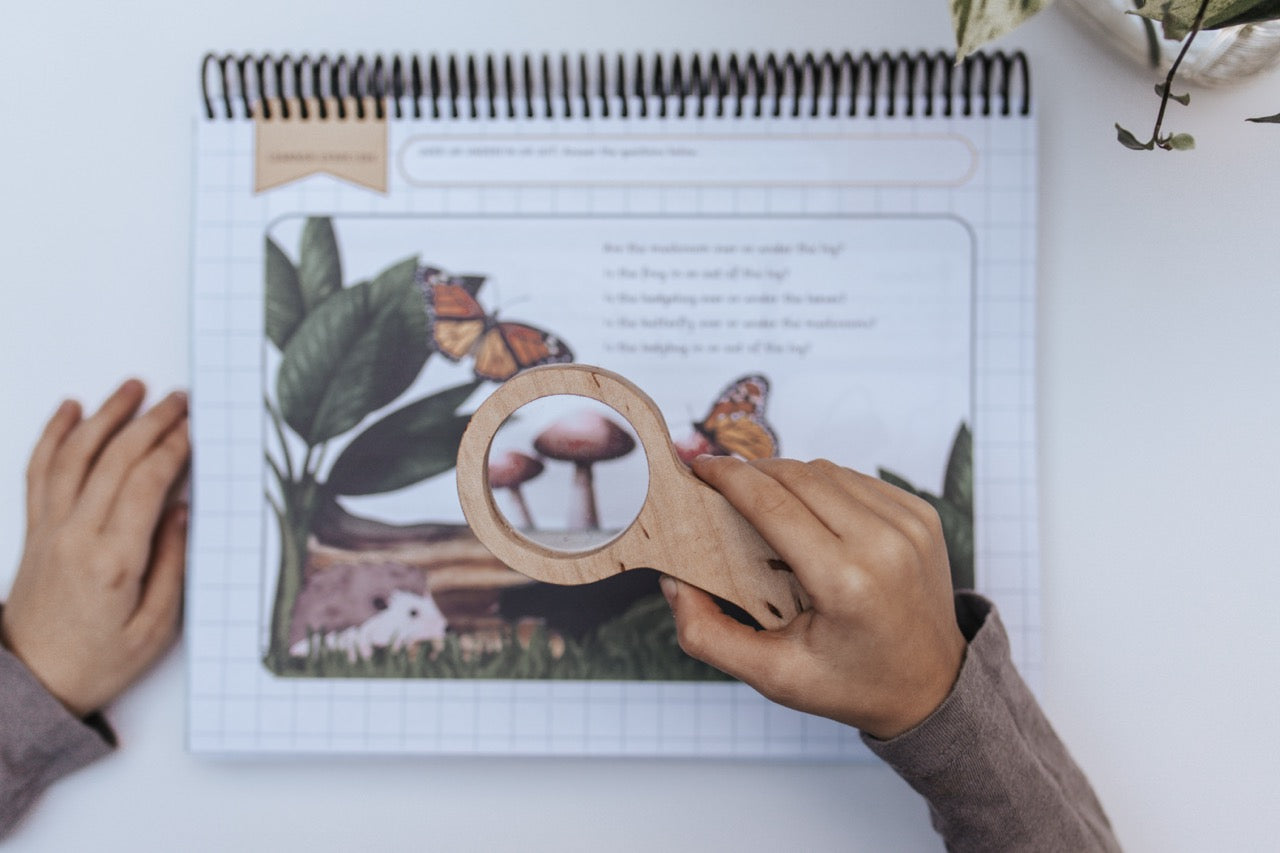 PRINT Little Sprouts (PreK) Mathematics – Harbor and Sprout