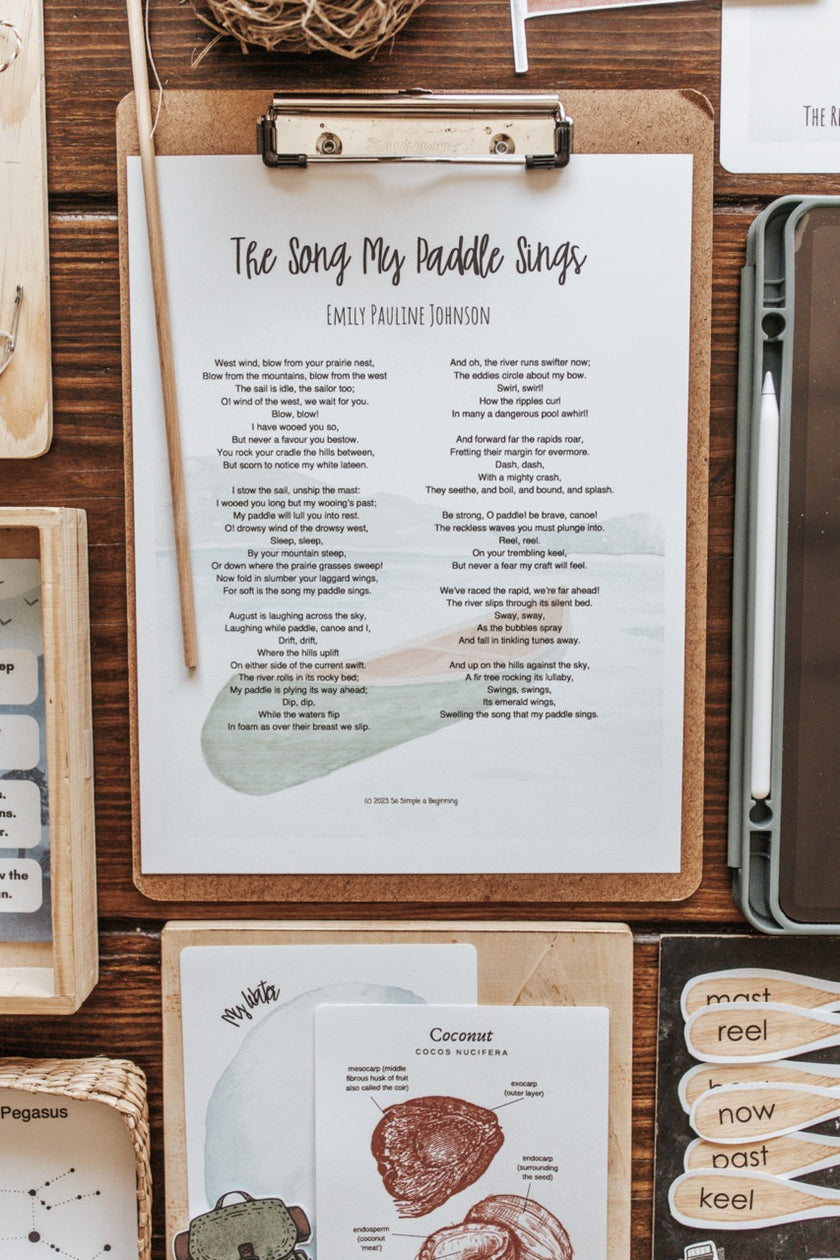 Outdoor Survival Skills Patchwork Study – Harbor and Sprout