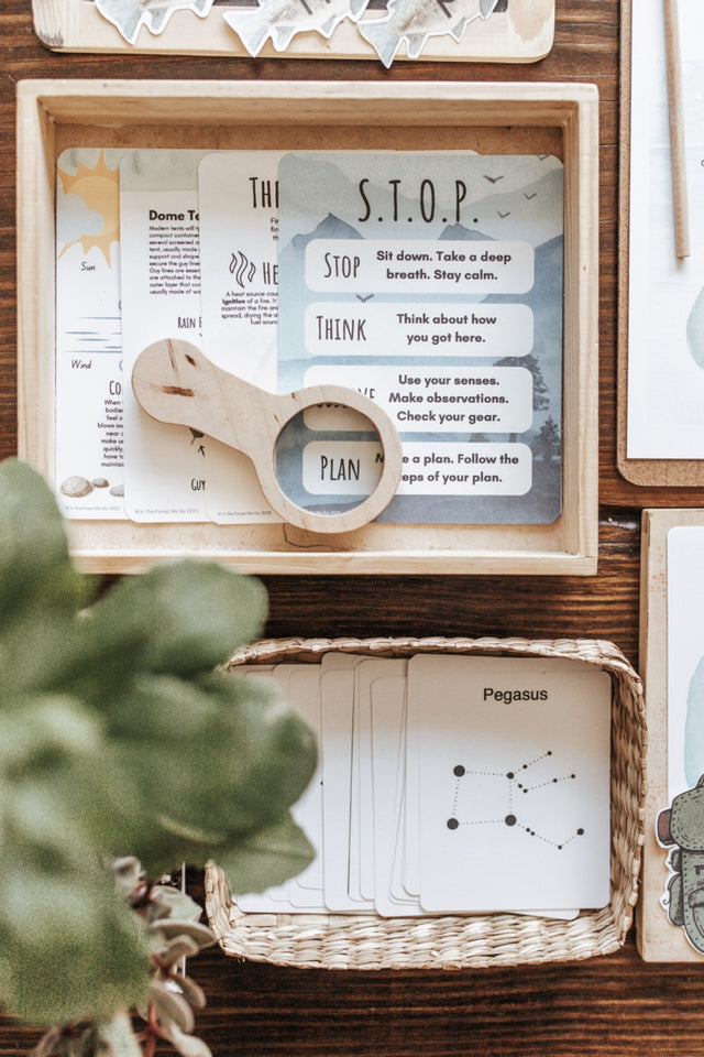 Outdoor Survival Skills Patchwork Study – Harbor and Sprout