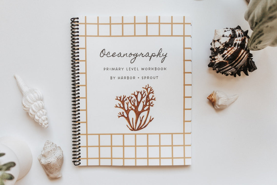 DIGITAL Oceanography Primary Level Workbook – Harbor and Sprout