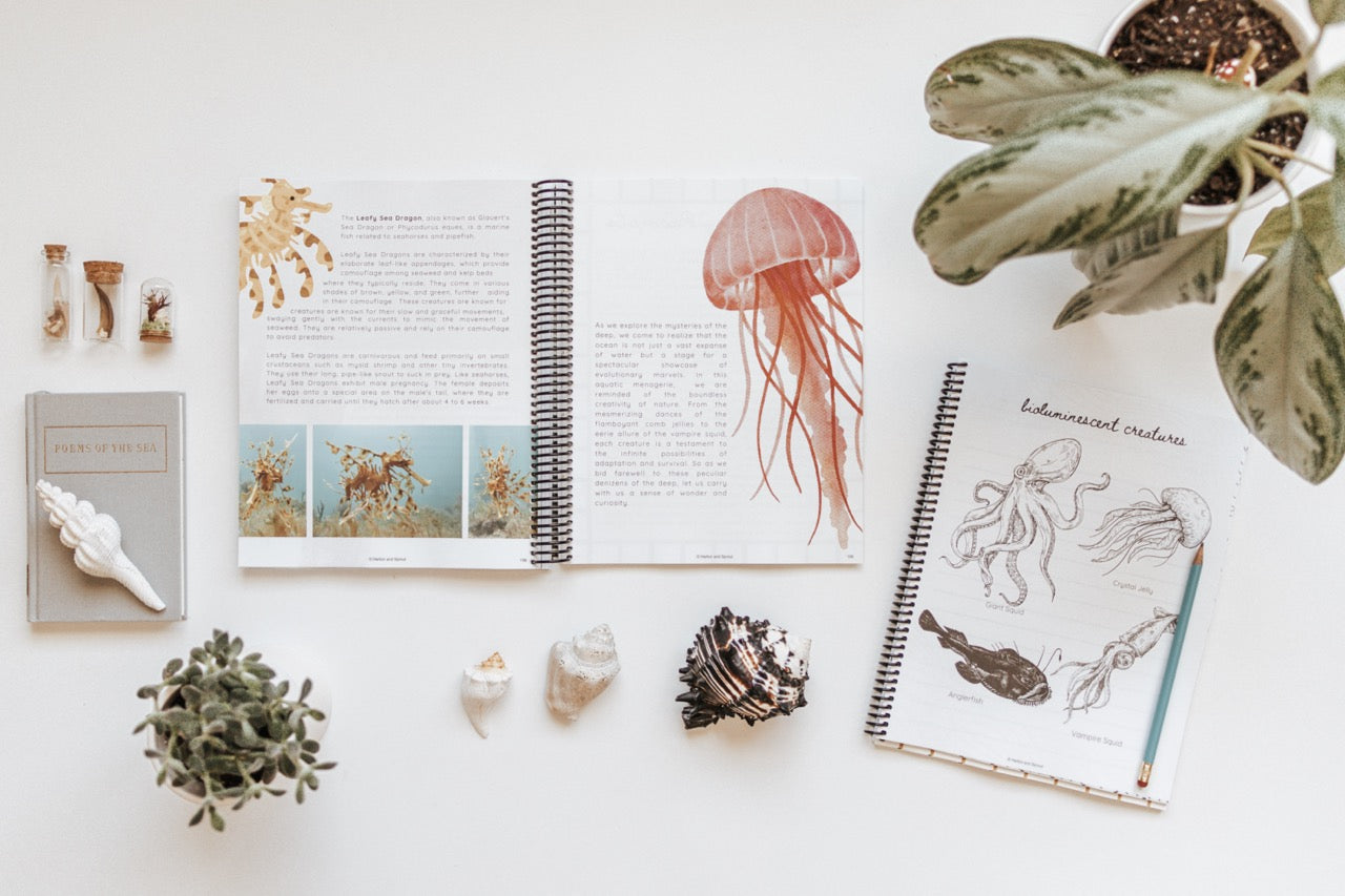 DIGITAL Oceanography Primary Level Unit Study – Harbor and Sprout