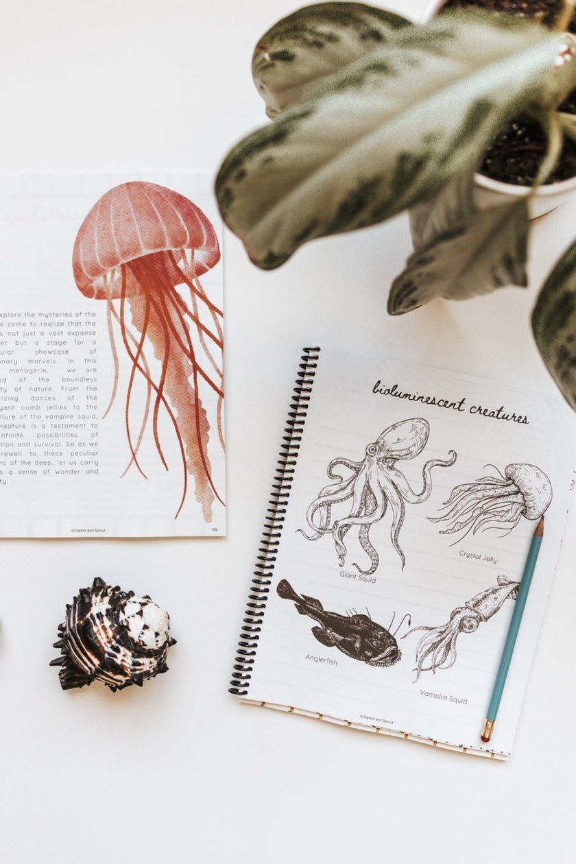 DIGITAL Oceanography Primary Level Unit Study – Harbor and Sprout