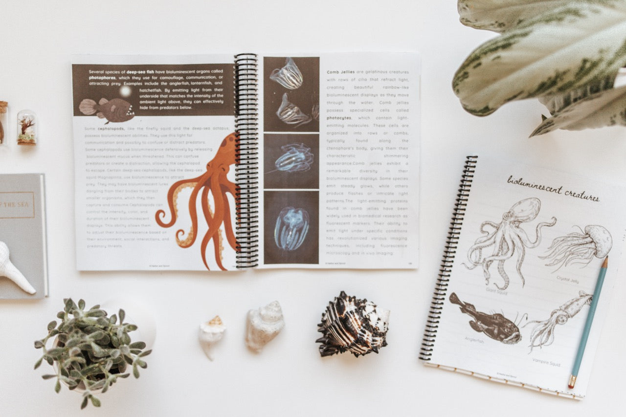 PRINT Oceanography Primary Level Workbook – Harbor and Sprout