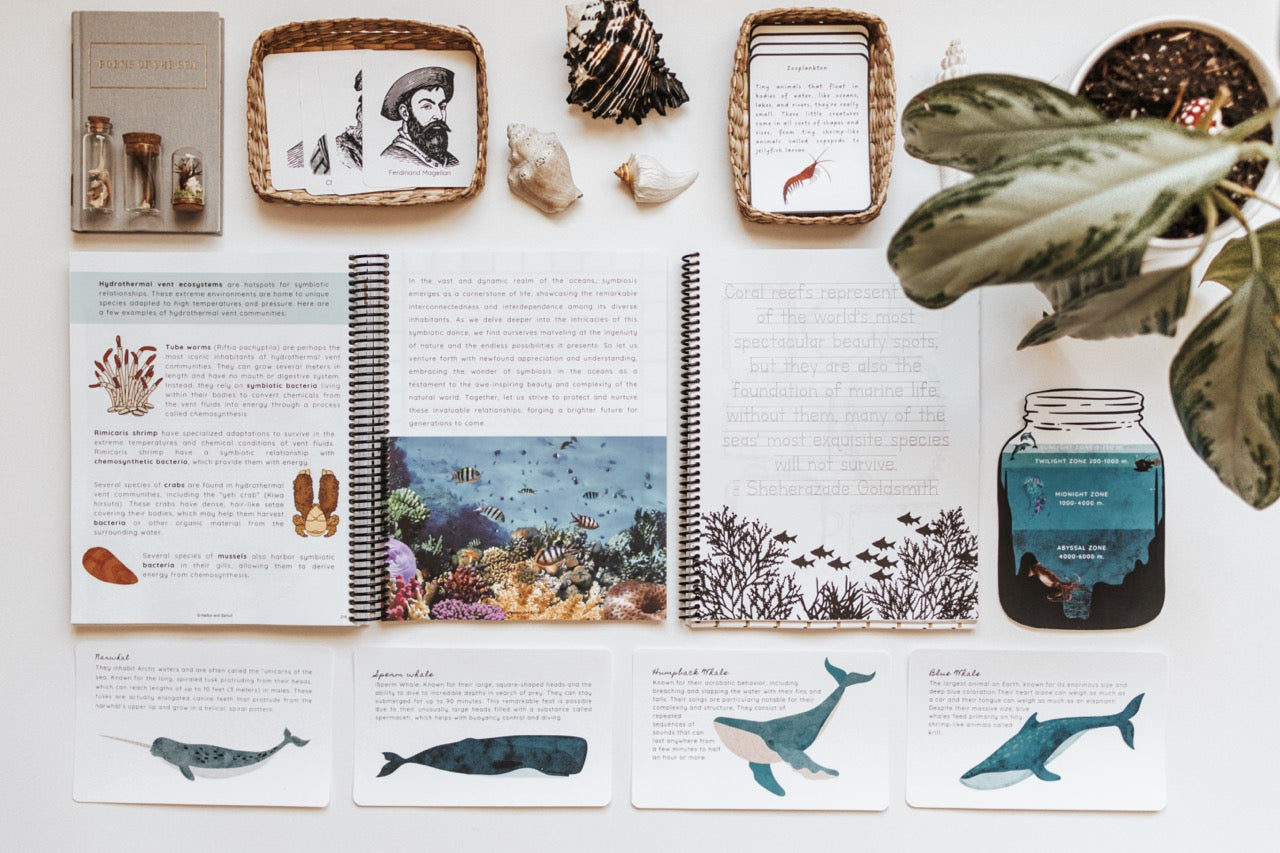 Homeschool Curriculum and Unit Studies – Harbor and Sprout