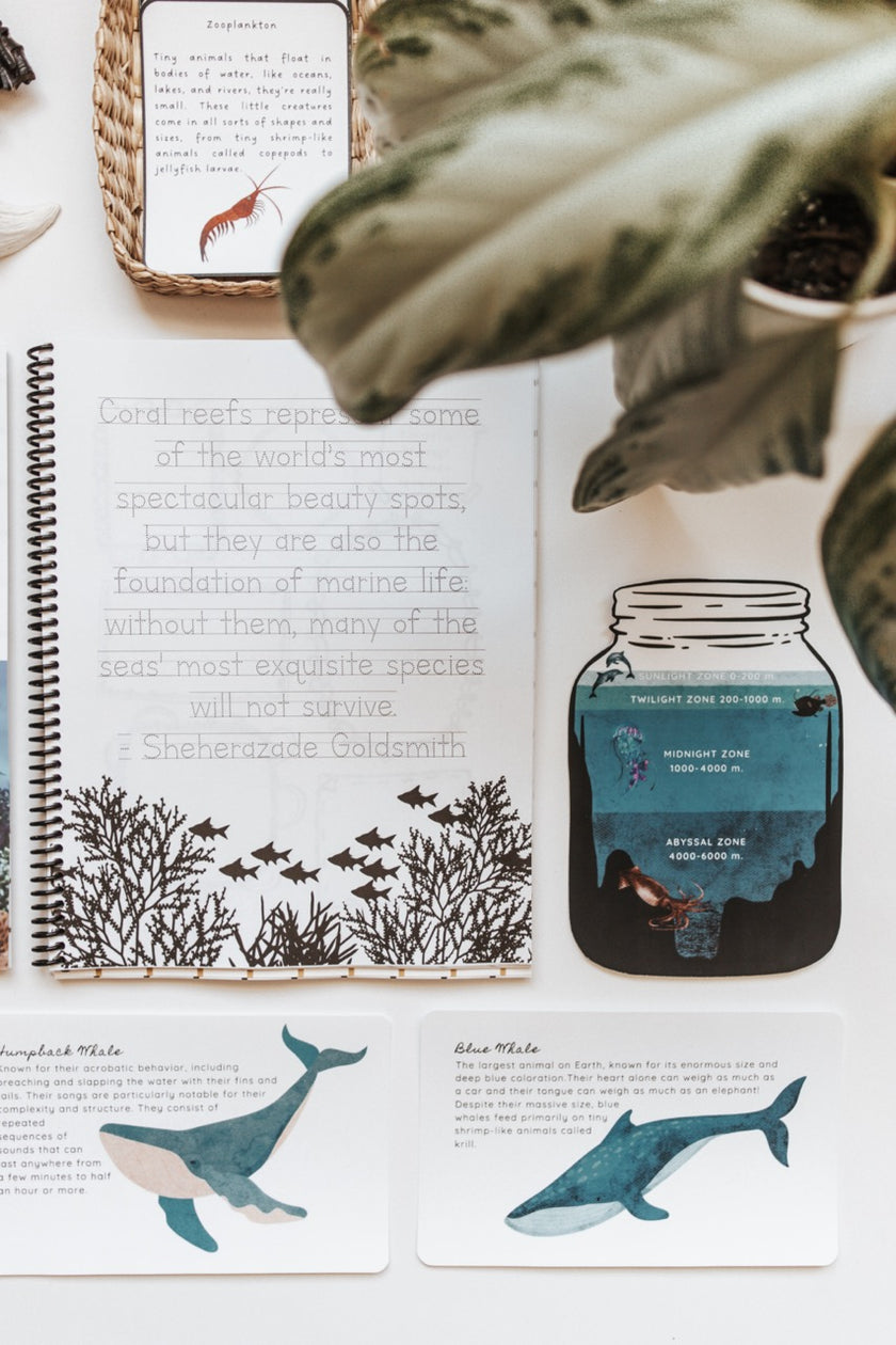 DIGITAL Oceanography Primary Level Workbook – Harbor and Sprout