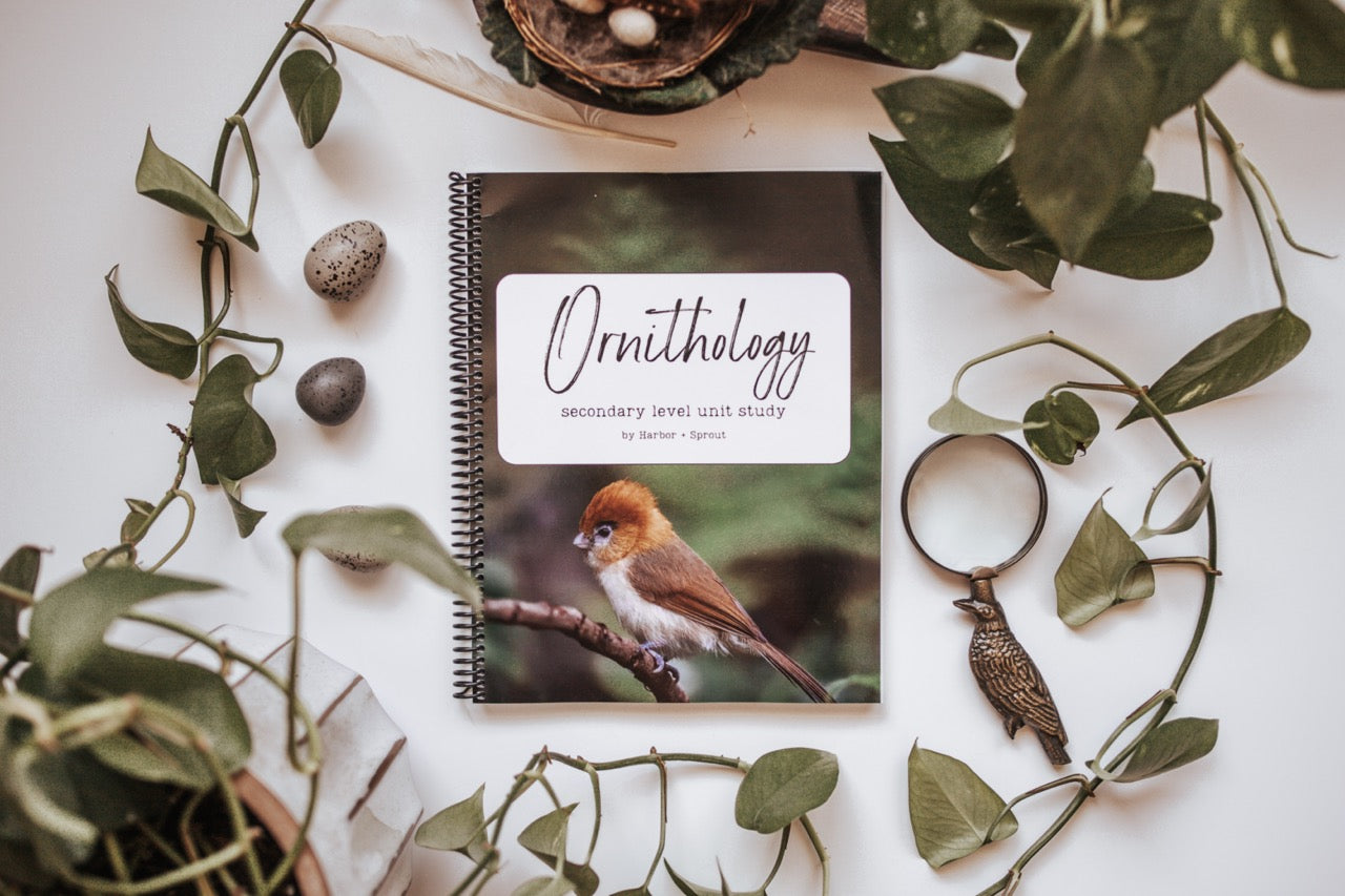 PRINT Ornithology Secondary Level Unit Study – Harbor and Sprout