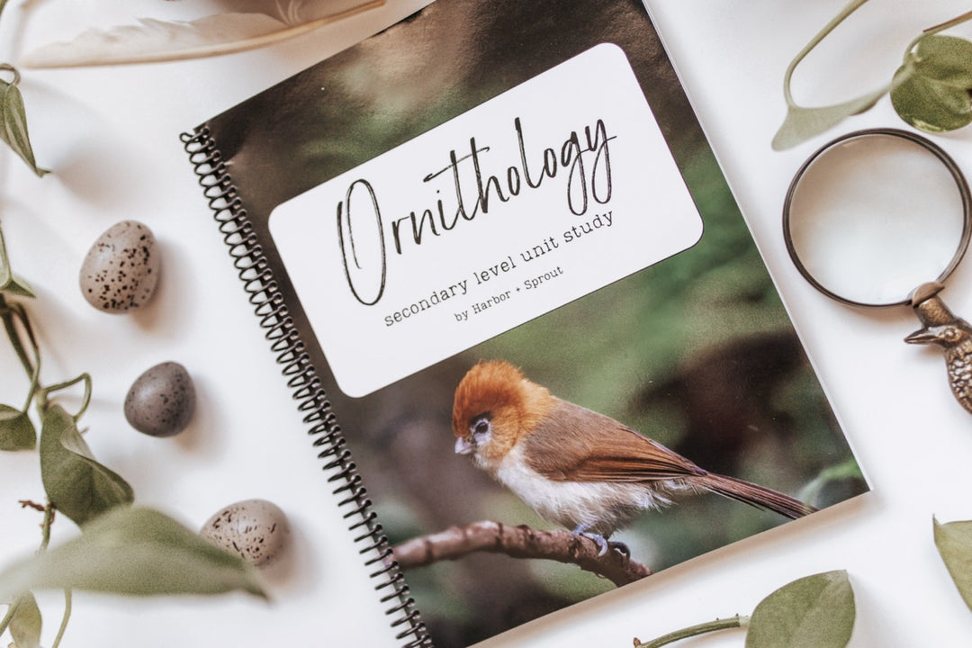 DIGITAL Ornithology Secondary Level Unit Study – Harbor and Sprout