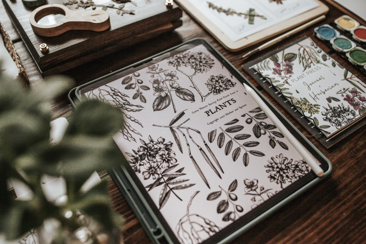 Curio Nature Society Field Guide Issue 6- PLANTS – Harbor and Sprout