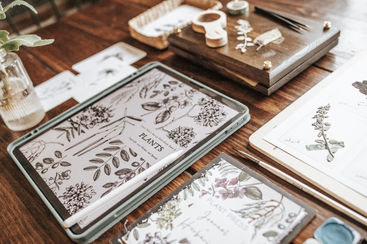 Curio Nature Society Field Guide Issue 6- PLANTS – Harbor and Sprout