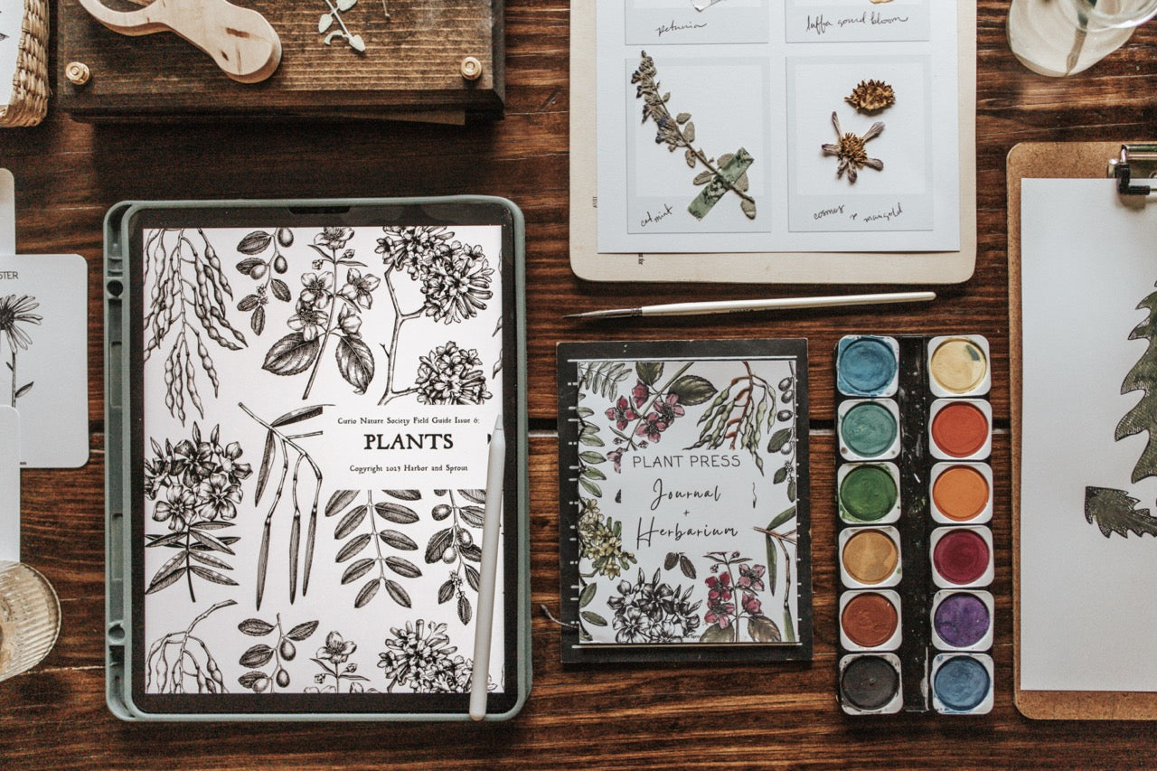 Curio Nature Society Field Guide Issue 6- PLANTS – Harbor and Sprout