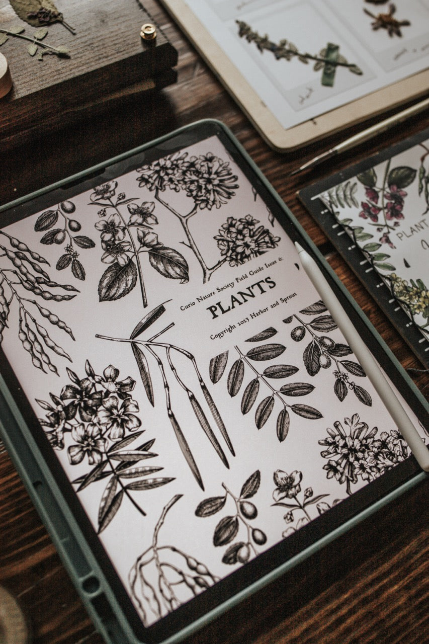 Curio Nature Society Field Guide Issue 6- PLANTS – Harbor and Sprout