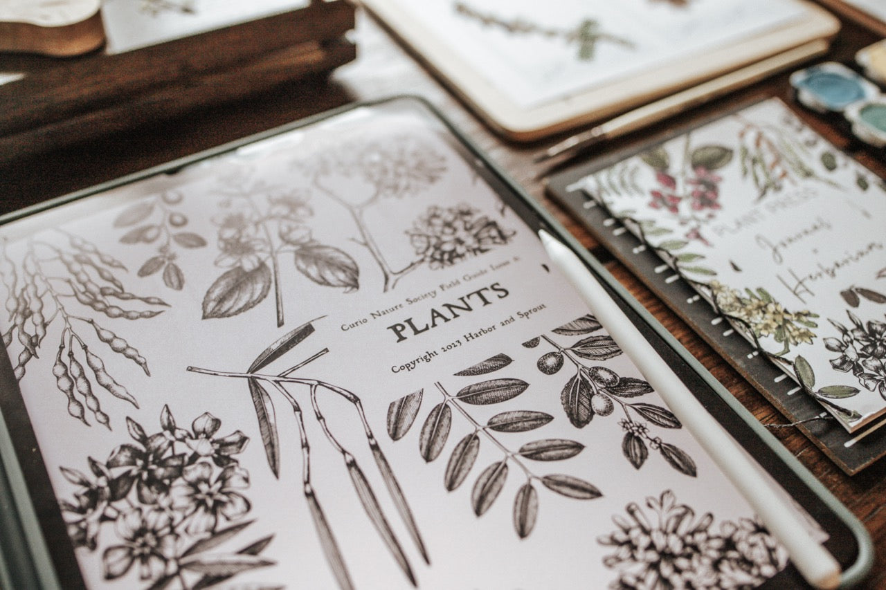 Curio Nature Society Field Guide Issue 6- PLANTS – Harbor and Sprout