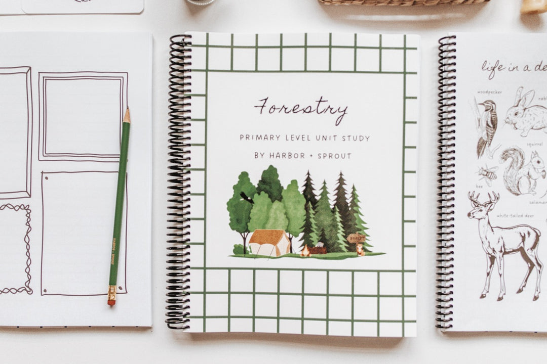 DIGITAL Forestry Primary Level Workbook – Harbor and Sprout