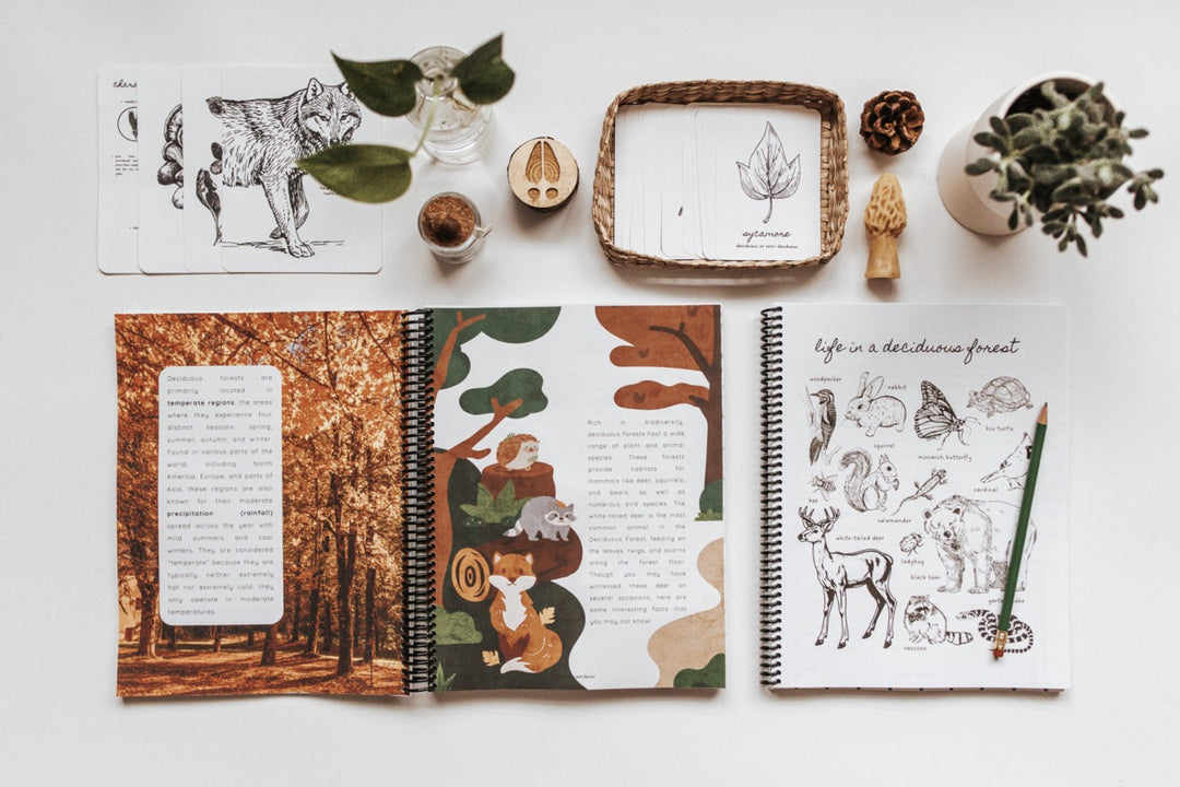 DIGITAL Forestry Primary Level Workbook – Harbor and Sprout