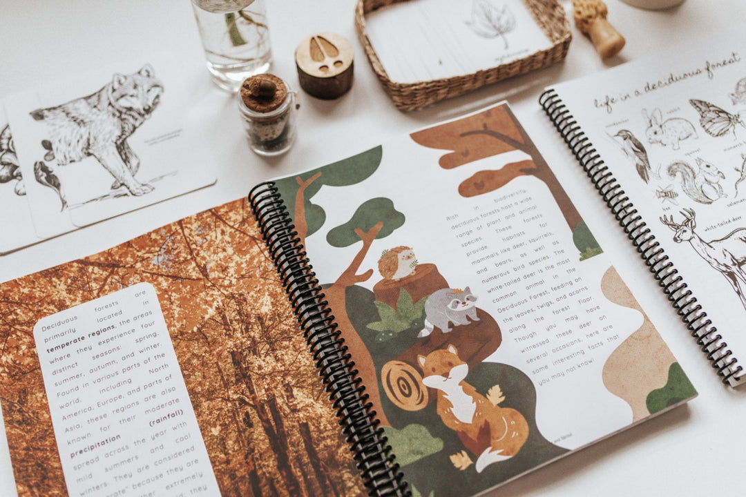 DIGITAL Forestry Primary Level Workbook – Harbor and Sprout