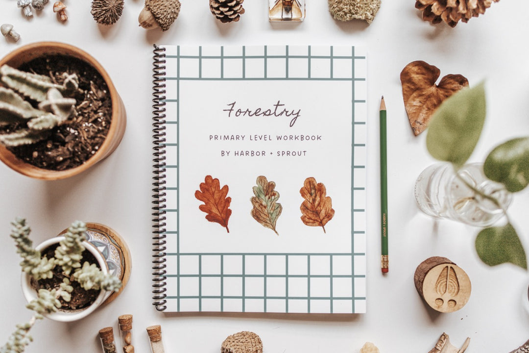 FREE SAMPLE: Primary Level Workbooks – Harbor and Sprout