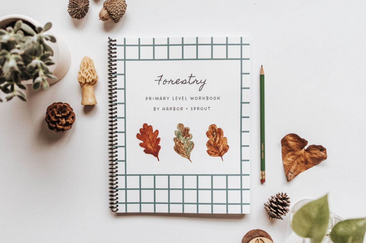 PRINT Forestry Primary Level Workbook – Harbor and Sprout