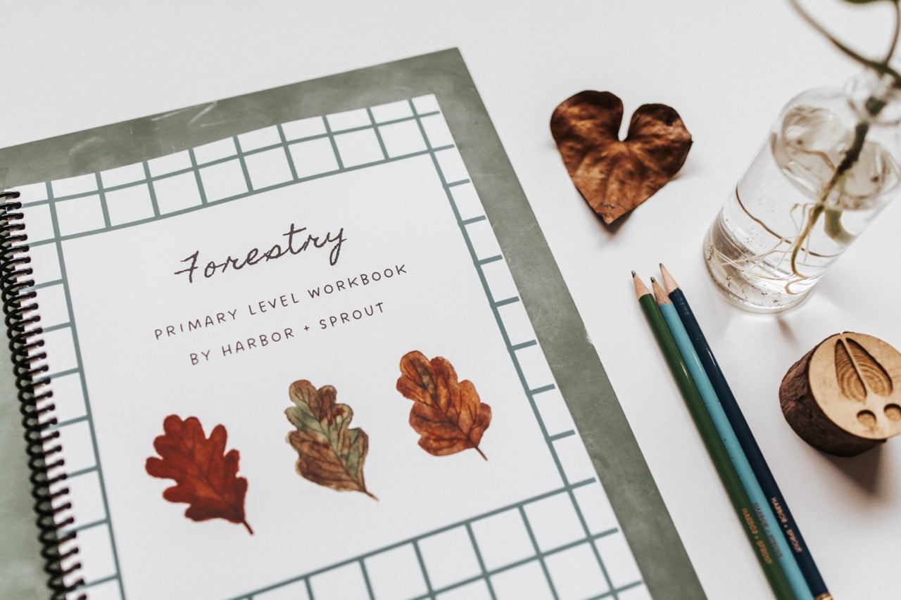 PRINT Forestry Primary Level Workbook – Harbor and Sprout