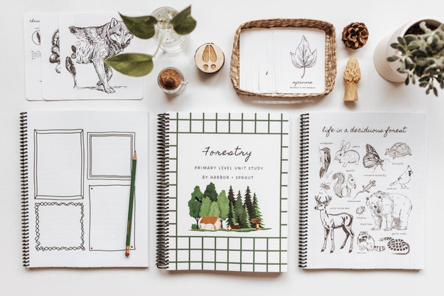 FREE SAMPLE: Primary Level Workbooks – Harbor and Sprout