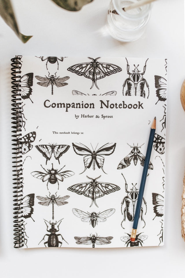 PRINT Secondary Companion Notebook – Harbor and Sprout