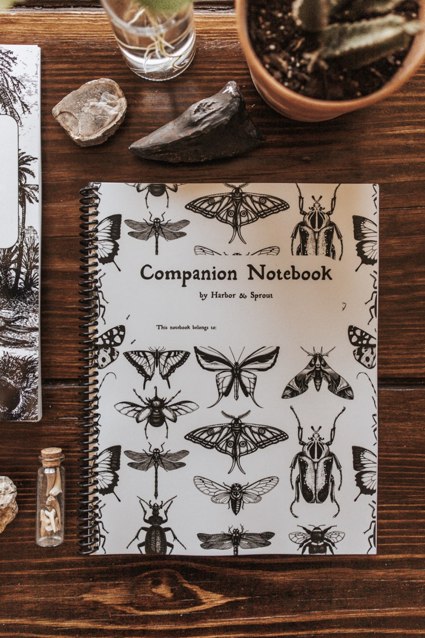PRINT Secondary Companion Notebook – Harbor and Sprout