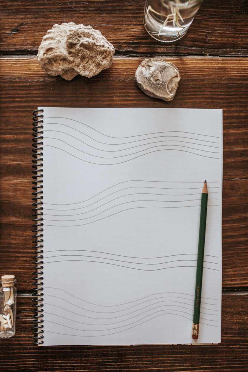 PRINT Secondary Companion Notebook – Harbor and Sprout