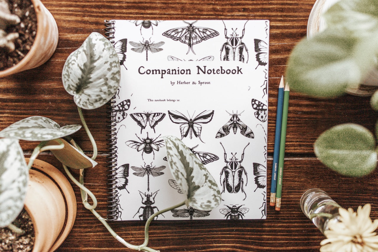 PRINT Secondary Companion Notebook – Harbor and Sprout