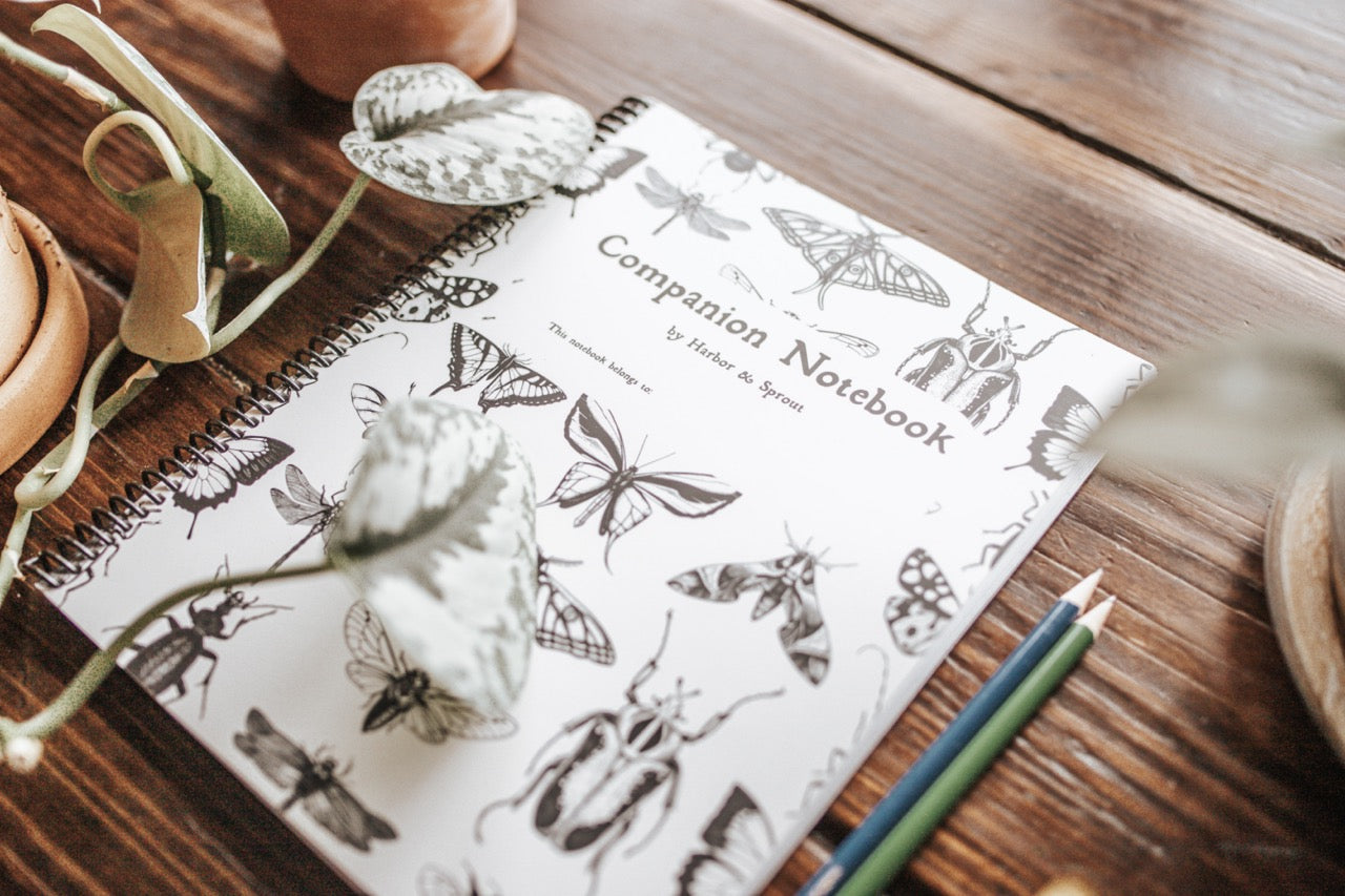 DIGITAL Secondary Companion Notebook – Harbor and Sprout