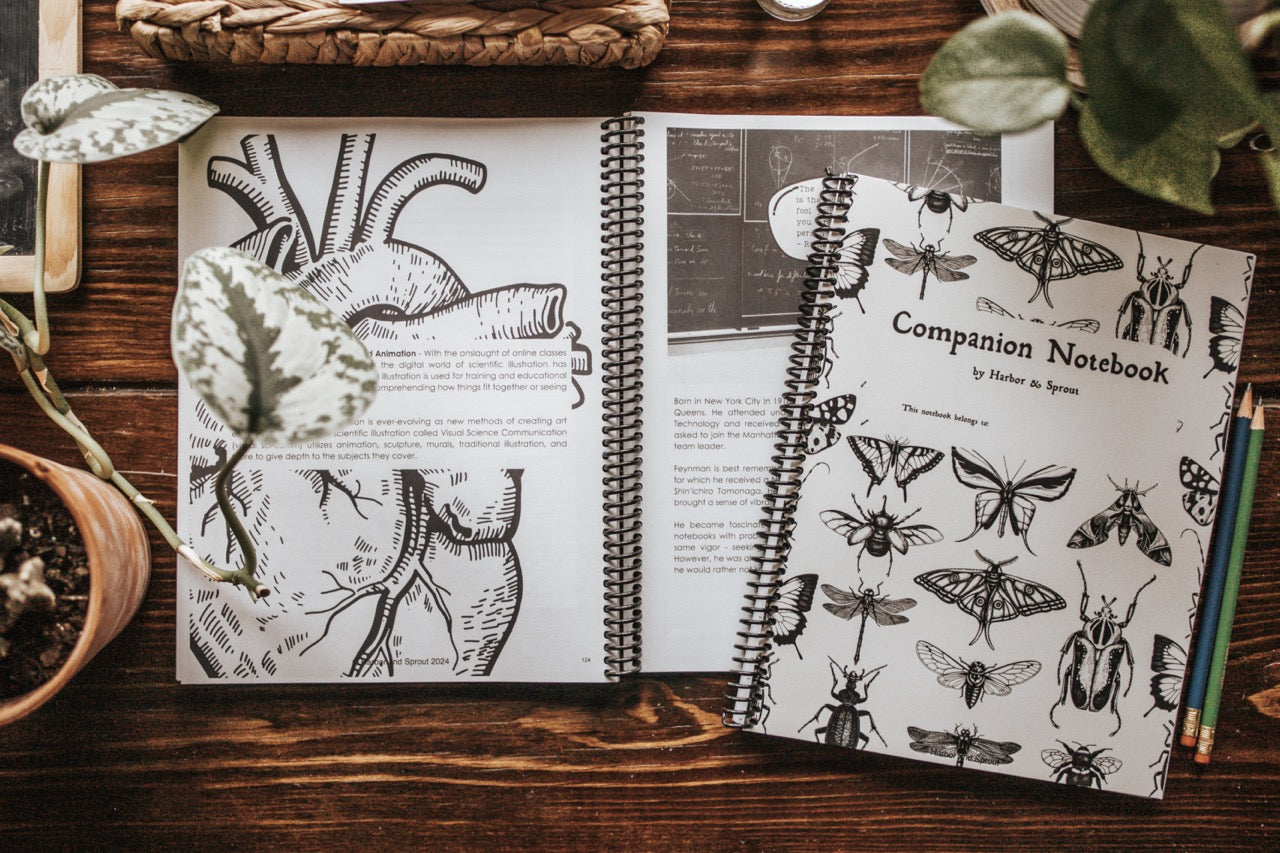 PRINT Secondary Companion Notebook – Harbor and Sprout