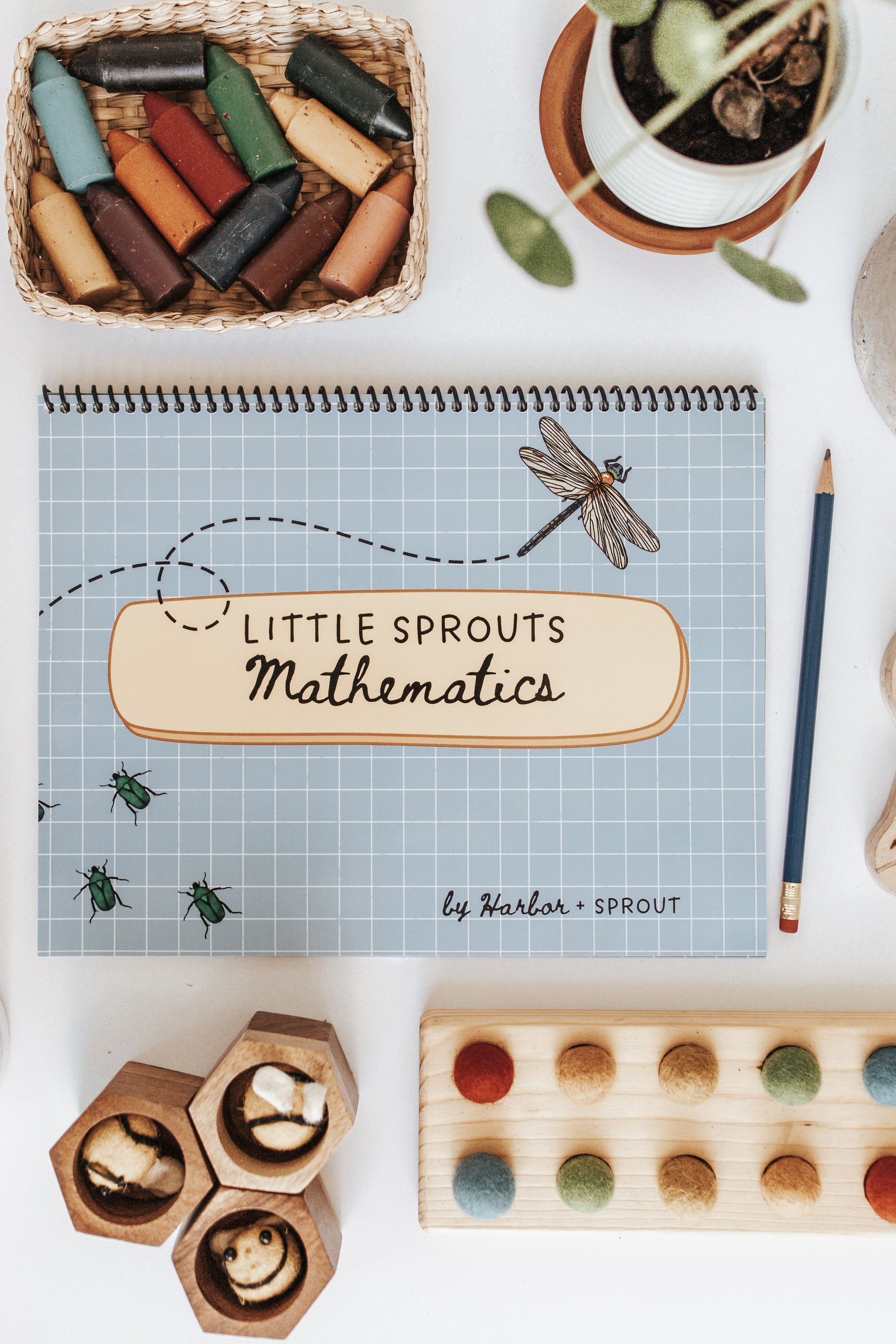 Mathematics Curriculum Samples – Harbor and Sprout