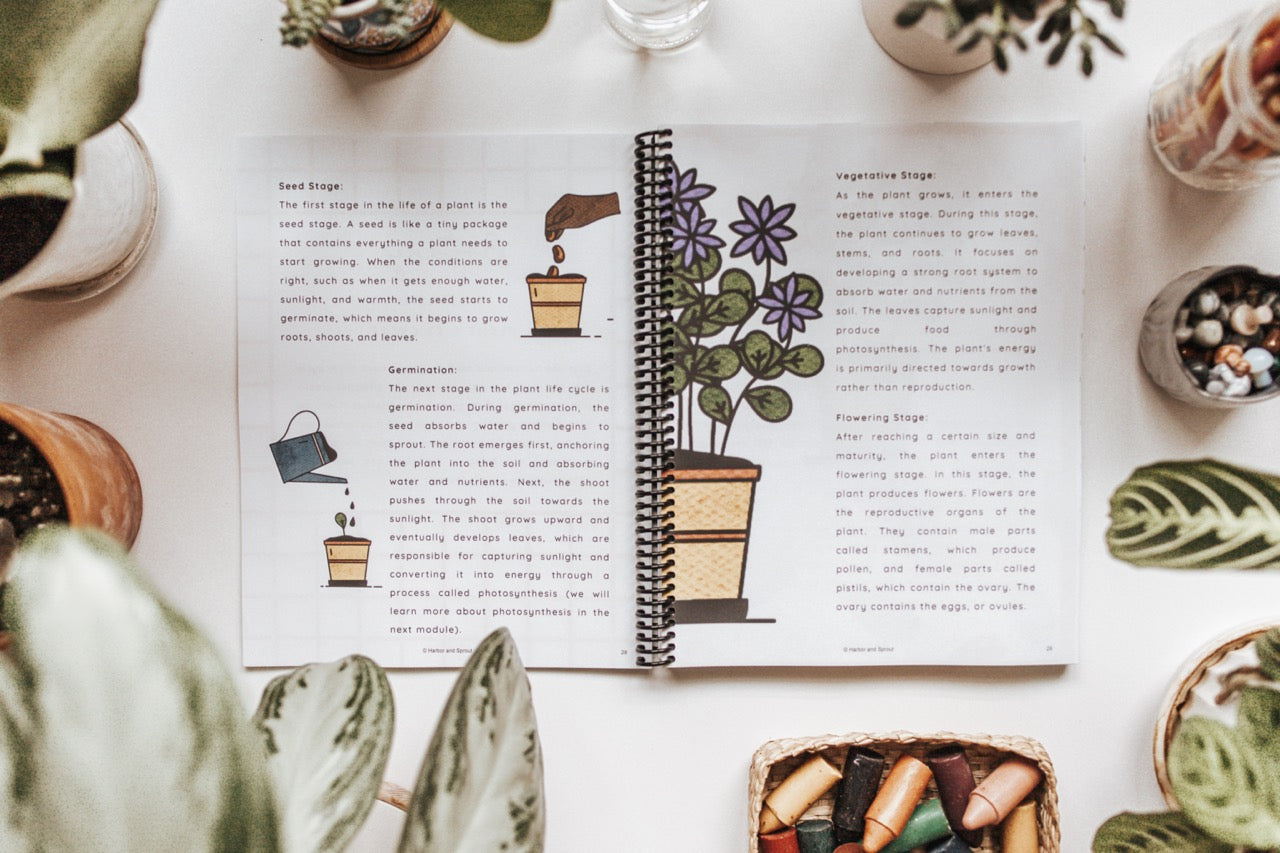 PRINT Botany Primary Level Unit Study – Harbor and Sprout