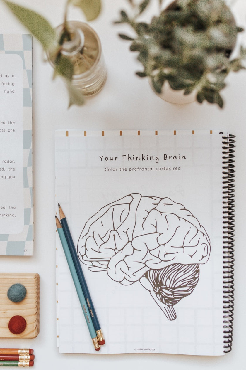 DIGITAL Psychology Primary Level Workbook – Harbor and Sprout