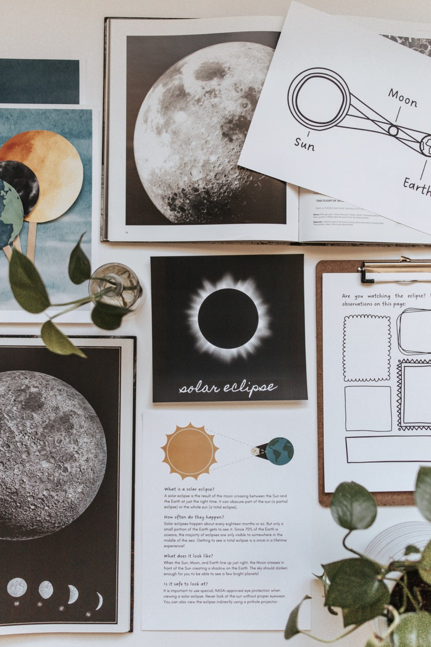 Solar Eclipse FREEBIE – Harbor and Sprout