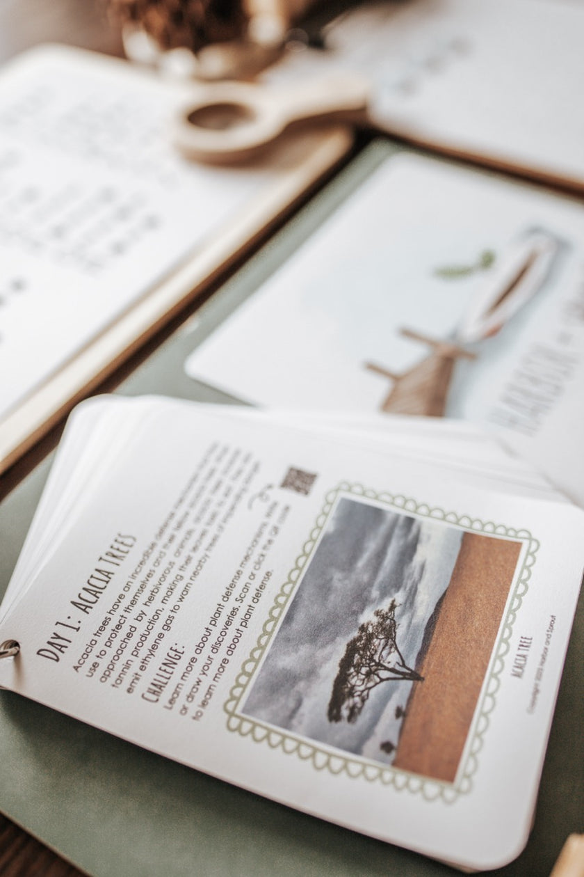 FREE 30 Day Nature Discovery Challenge – Harbor and Sprout