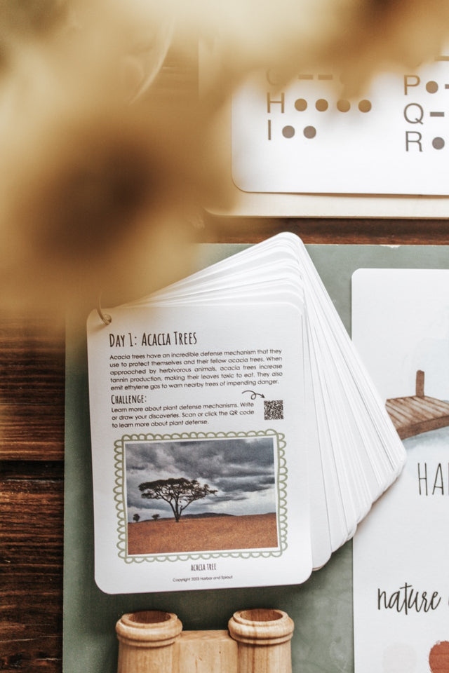 FREE 30 Day Nature Discovery Challenge – Harbor and Sprout